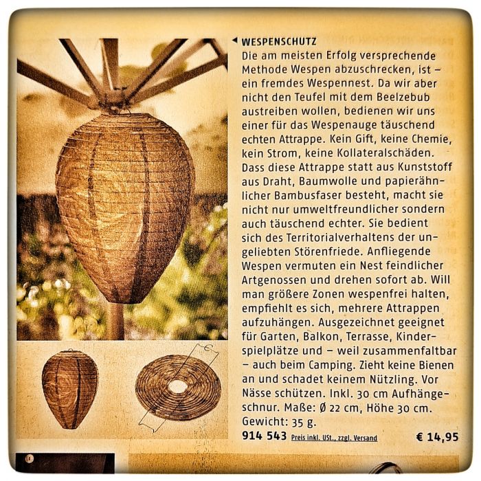 Nepper, Schlepper, Wespenopfer | EMAZ